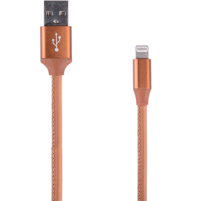 Câble USB Lightning en Cuir