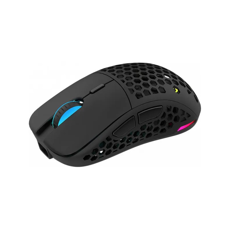 Souris Gamer AQIRYS TGA / Double mode / RGB / Noir