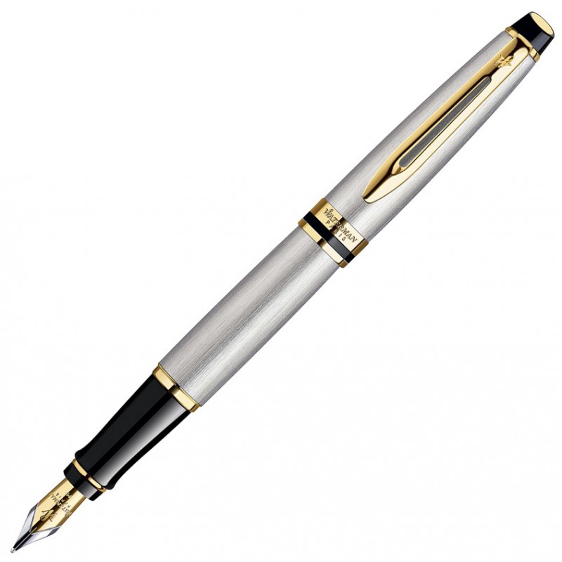 Stylo Waterman Expert Acier GT Plume