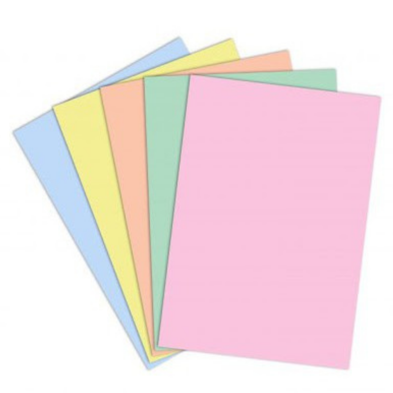 100 chemise cartonnée 5 couleurs assorties