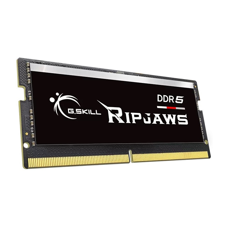 Barette Mémoire PC G.SKILL Ripjaws DDR 5 / 4800MHz / 16 Go