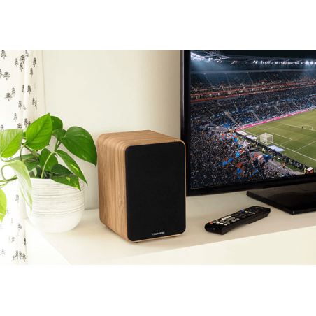 SET 2 ENCEINTES BOIS CLAIR THOMSON 100 Watts