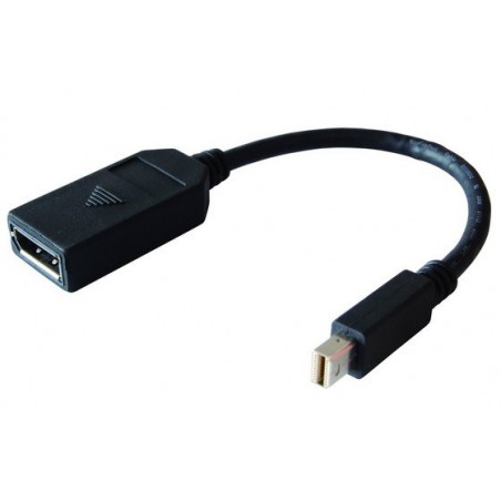 Adaptateur Mini DisplayPort Mâle vers DisplayPort Femelle