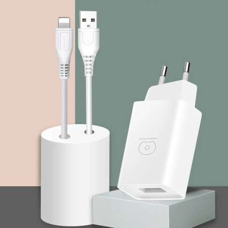 Chargeur WUW T47 2.1A LIGHTNING - Blanc