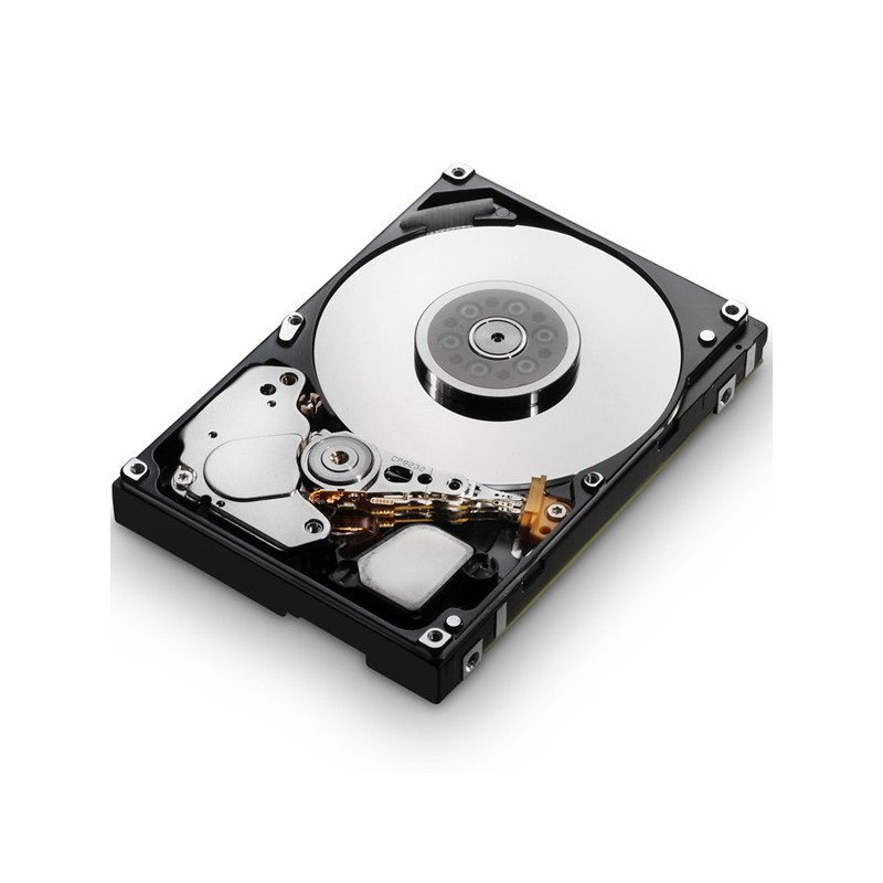 Disque Dur pour serveur 300 Go